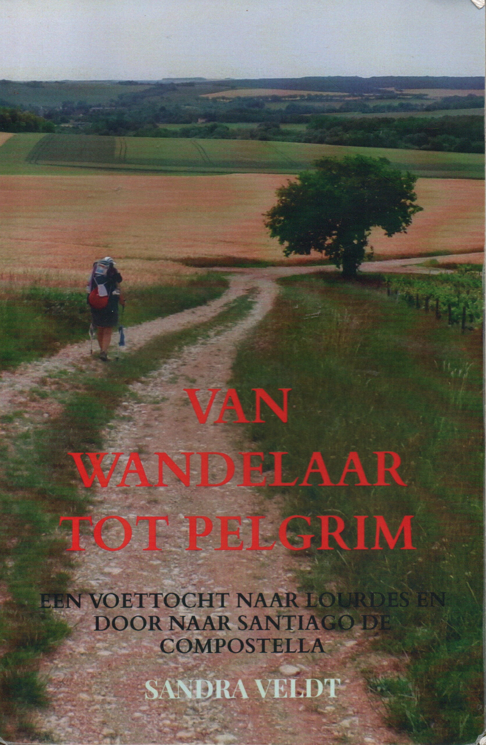 Van wandelaar tot pelgrim - Een voettocht naar Lourdes en door naar ...